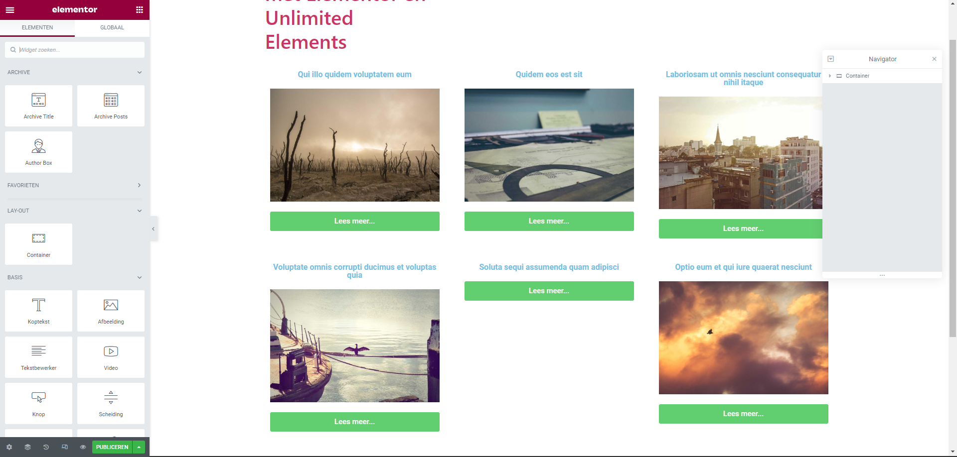 Werken met de Elementor Loop Builder